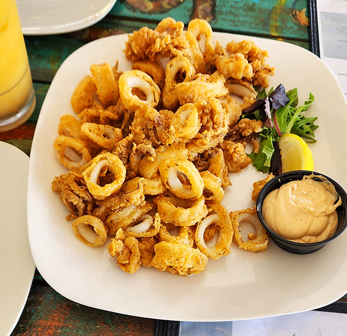 Calamari so perfectly golden, it deserves its own Florida sunshine metaphor. Crispy rings with just enough give to remind you they once swam freely.