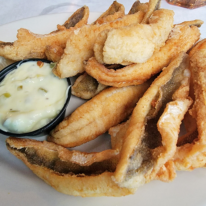 Golden, crispy perch that makes you understand why people drive hours for dinner. Lake-to-plate perfection that haunts your dreams.