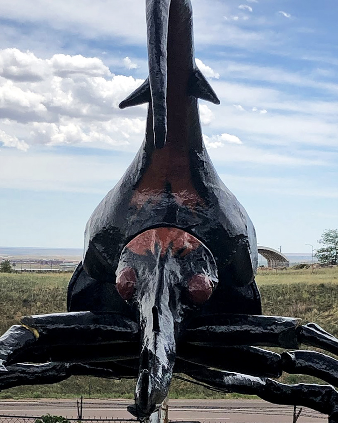 Face-to-face with the beetle's business end &ndash; those mandibles could probably open a lifetime supply of bottle caps.