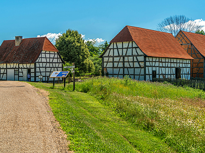 At the Frontier Culture Museum, these half-timbered houses aren't movie sets &ndash; they're living history lessons where you can almost smell yesterday's bread baking.