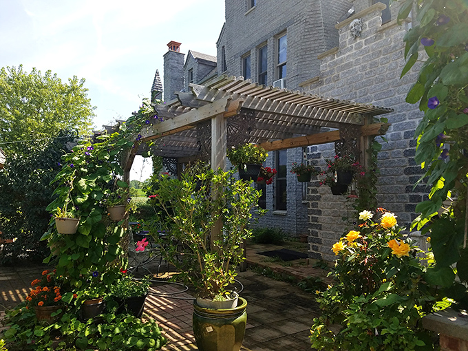 Who needs the gardens of Versailles? This charming pergola draped with flowering vines creates a tranquil oasis against the castle's imposing stone walls.