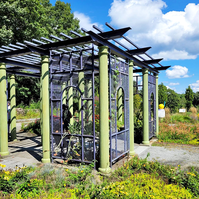 This whimsical purple and green garden structure isn't just a pergola&mdash;it's what happens when plants decide they need their own downtown loft.