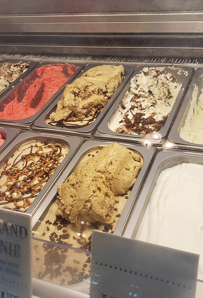 Behind this glass lies a rainbow of temptation, each flavor waiting to make your day exponentially better.