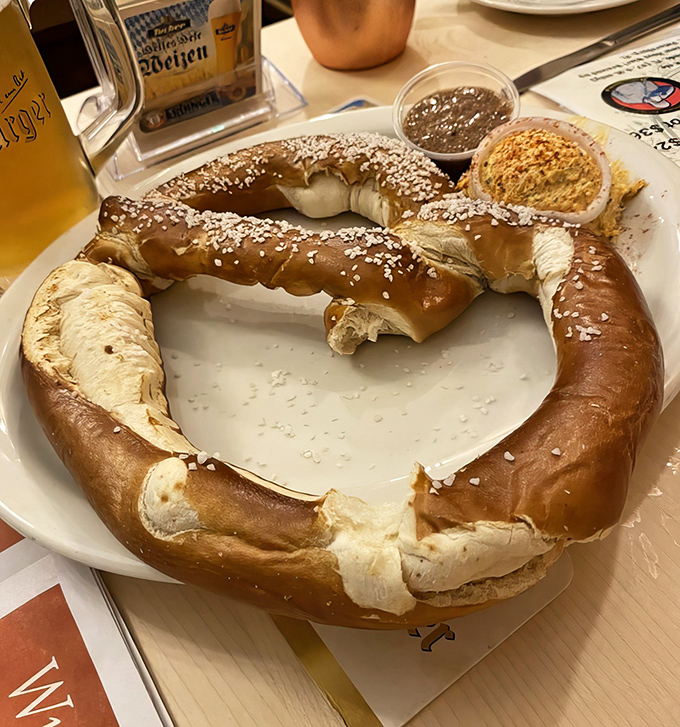 This pretzel isn't just big—it's geography-altering. Comes with mustard that'll clear your sinuses faster than Florida humidity.