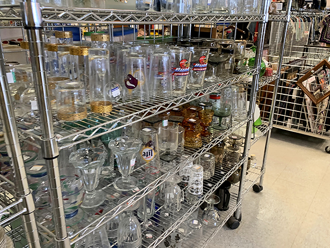 Glassware gleaming under fluorescent lights, ready to make your water taste fancier without the fancy price tag attached.