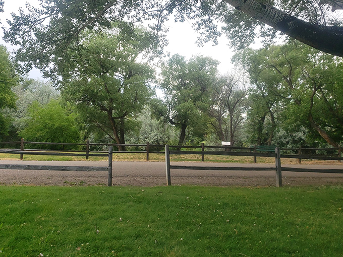 Small-town parks where kids still play until the streetlights come on &ndash; remember when that was everywhere?