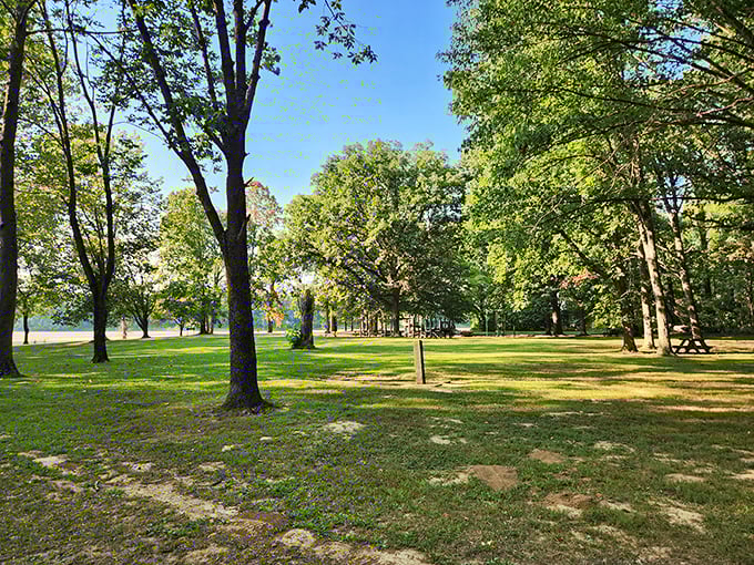 Riverside tranquility at its finest—where towering trees meet grassy shores, offering picnic spots that Instagram filters couldn't possibly improve.