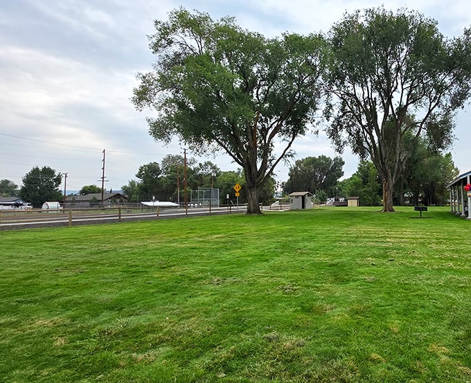 Harwood Park's sprawling lawn and mature trees create nature's living room. The perfect spot for picnics, paperbacks, and pretending you don't have emails to answer.