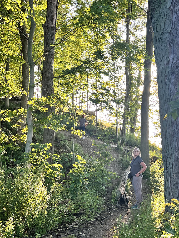 Dappled sunlight creates nature's spotlight on this forest path&mdash;Broadway could never design lighting this perfect.