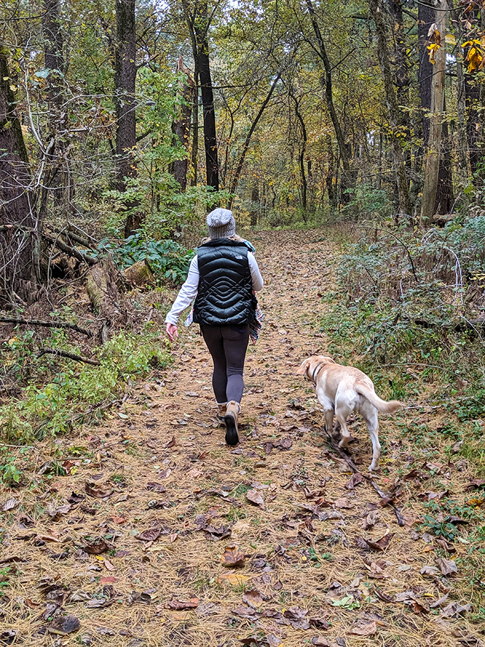 Every great adventure needs a trusty companion, and this trail clearly delivers on both the hiking and bonding front.