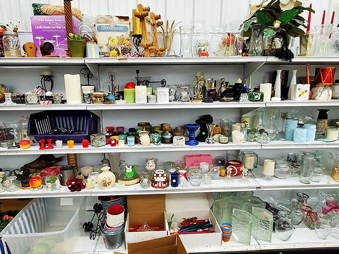 Glassware galore! Each shelf tells stories of dinner parties past and future, with enough variety to satisfy any table-setting vision.