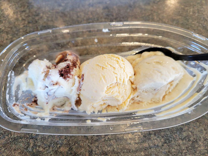 Ice cream that doesn't know the meaning of "artificial flavor." Three scoops of creamy perfection that make you question why you ever settled for store-bought.