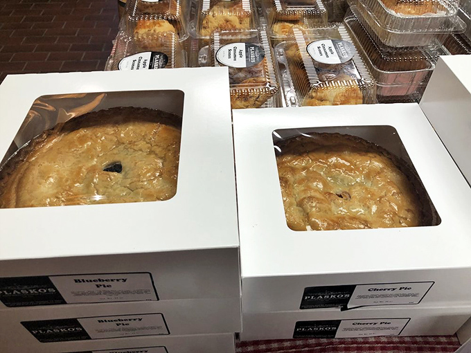 Blueberry pies peeking through their bakery windows like shy celebrities, knowing full well they're the stars of the show.