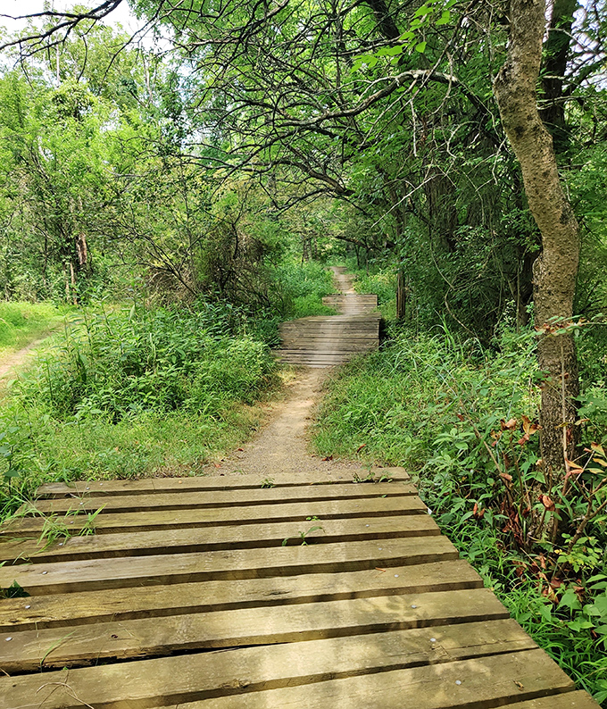 Huffman Trail's wooden boardwalk invites you to leave the digital world behind. Nature's air conditioning and surround-sound bird choruses come standard with every visit.