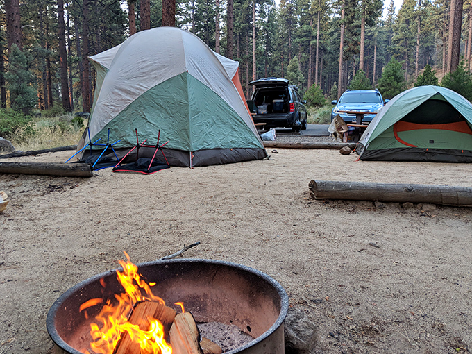 Camping nirvana: where the crackling campfire, starry skies, and zero cell service create the perfect digital detox cocktail you didn't know you needed.