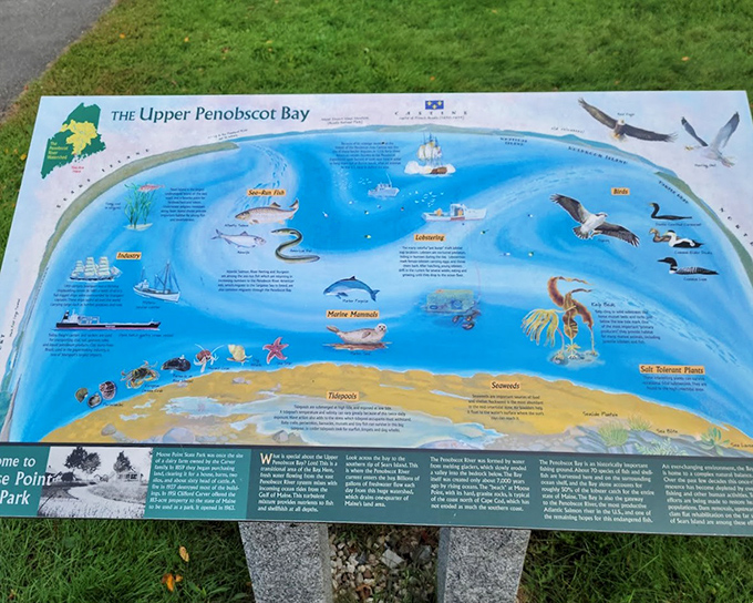 Educational signage that's actually interesting &ndash; proving that learning about Penobscot Bay doesn't require a college degree or staying awake. 
