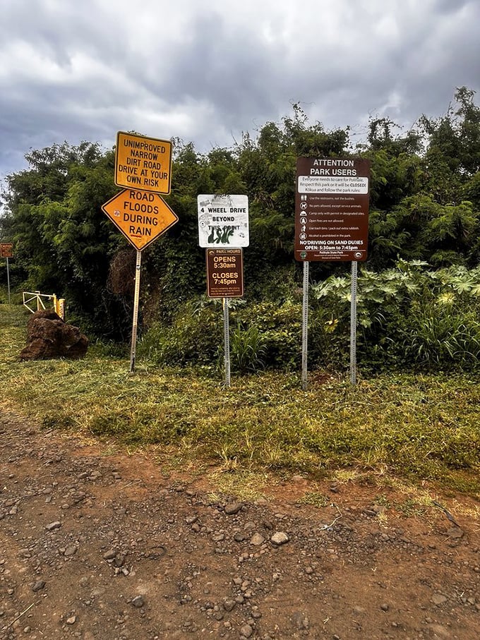 The warning signs say it all: this paradise demands respect. Consider it Hawaii's version of "with great beauty comes great responsibility."