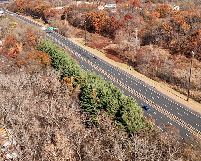 Even Chicopee's highways have a certain New England charm, cutting through forests that explode with color each fall like Mother Nature's own fireworks display.