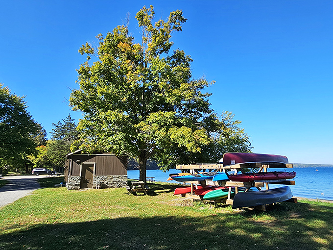 Kayak paradise awaits the adventurous. These colorful vessels stand ready like taxis at an airport, eager to ferry you across Cayuga's crystal waters.