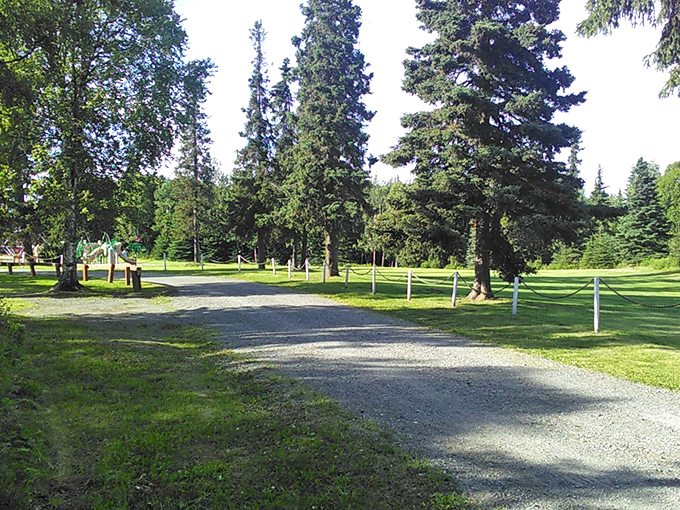 Towering spruce trees create nature's perfect park setting. Just add picnic basket and your favorite person for instant magic.