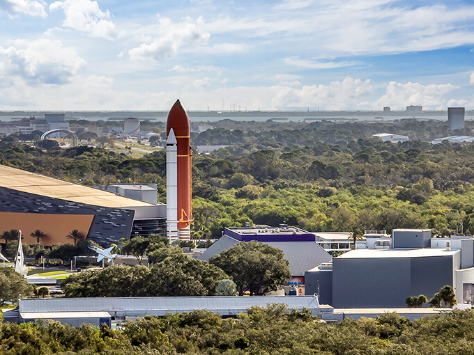 Kennedy Space Center sits right across the water, making rocket launches your neighborhood's most spectacular recurring event.