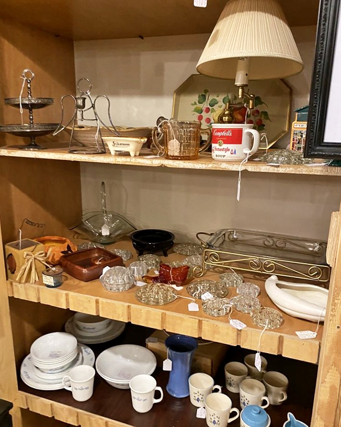 Every shelf tells a story &ndash; Campbell's soup mugs nestle beside delicate glassware, creating unexpected conversations between everyday items and special occasion treasures.