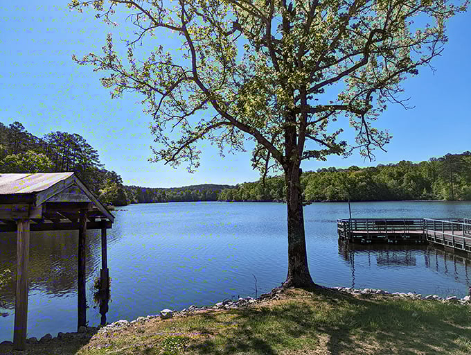 That magical moment when a lakeside tree seems to be dipping its toes in the water, creating a postcard-worthy scene.