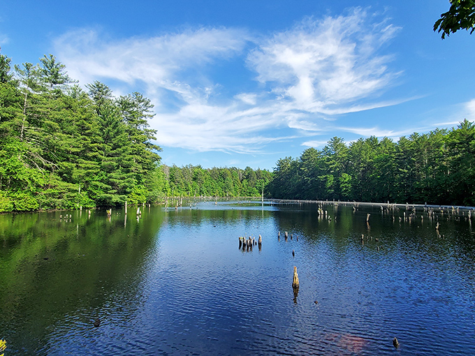 A lake so pristine it looks like Mother Nature spent extra time polishing it just before you arrived.