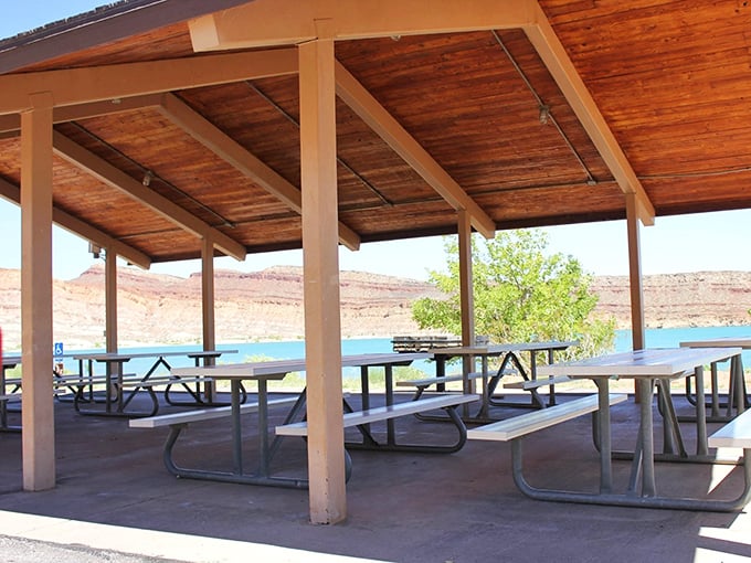 The lakeside pavilion: where picnic tables come with million-dollar views that no five-star restaurant reservation could ever match.