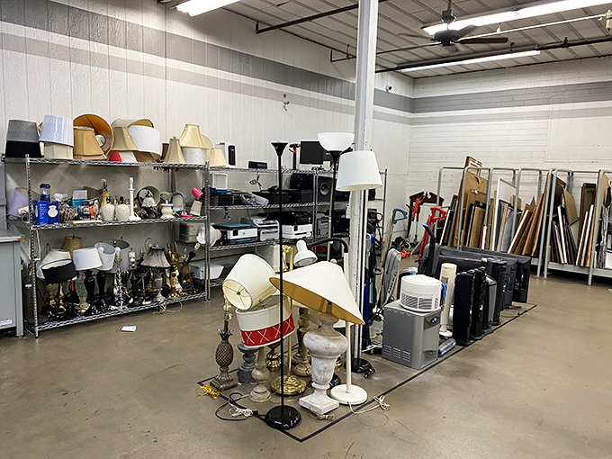 The lamp section glows with possibility—from elegant to eccentric, each one with a story and a second chance at illuminating someone's life.