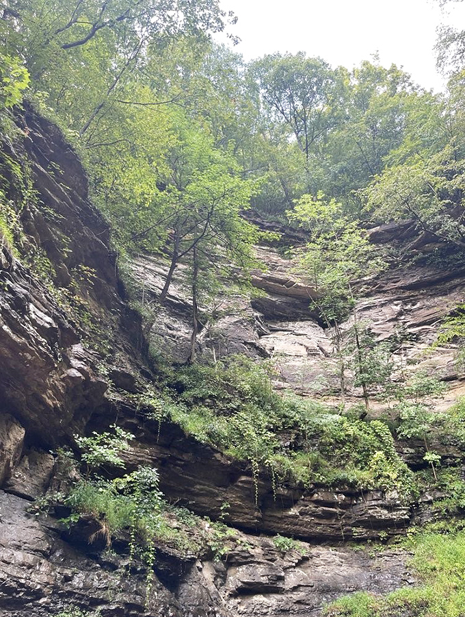 Looking up at these magnificent rock walls feels like reading Earth's diary. Each layer tells a story millions of years in the making.