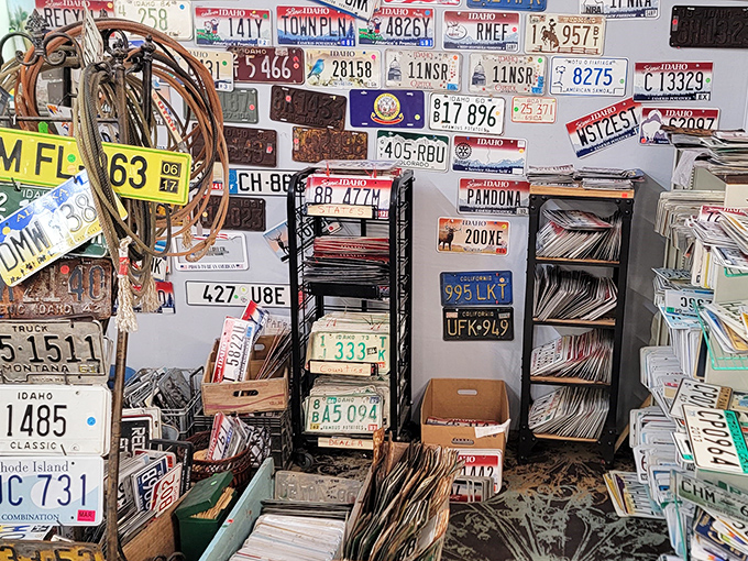 License plate heaven! A wall where every plate tells a story of road trips, family vacations, and that time your uncle swore he saw Bigfoot in the Sawtooths.
