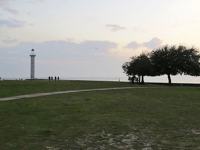 Even the palm trees lean in for a better look at this grassy oasis surrounding our steadfast sentinel.