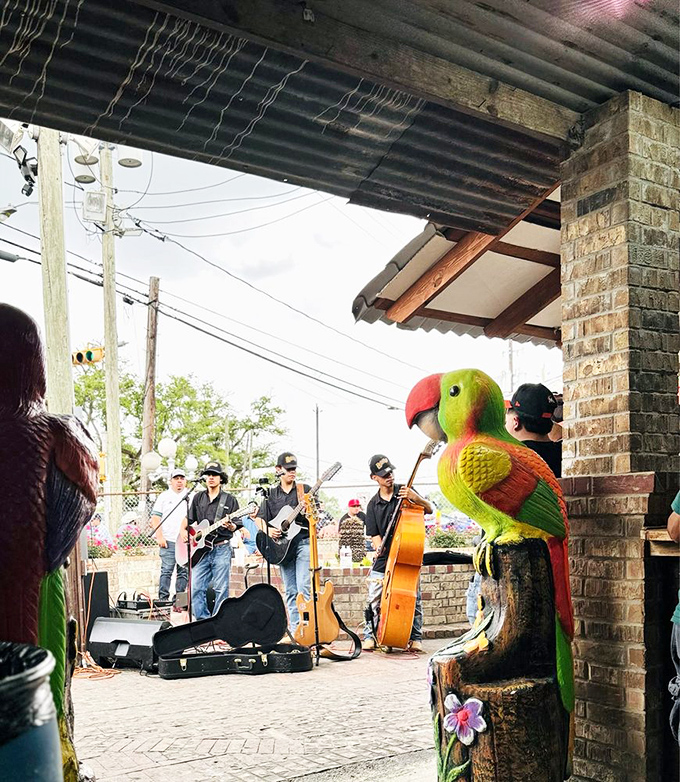 Impromptu mariachi serenade transforms shopping into a fiesta. That parrot statue has the best seat in the house for this authentic soundtrack to your bargain hunting. 