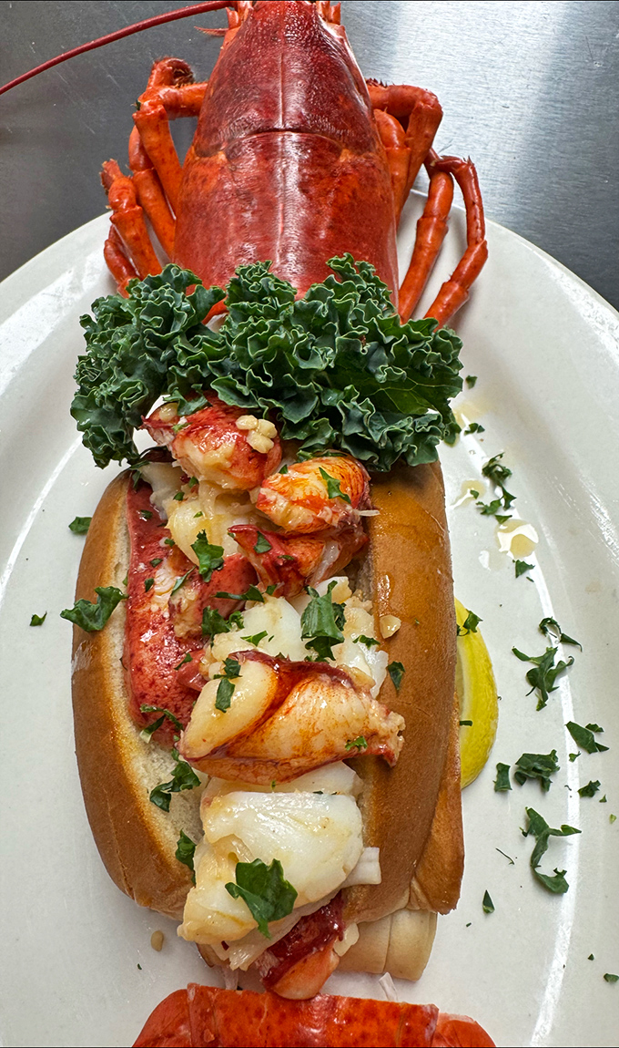 This isn't just a lobster roll&mdash;it's a masterpiece of simplicity where sweet lobster meat takes center stage on a perfectly toasted bun. The kale garnish is just showing off.