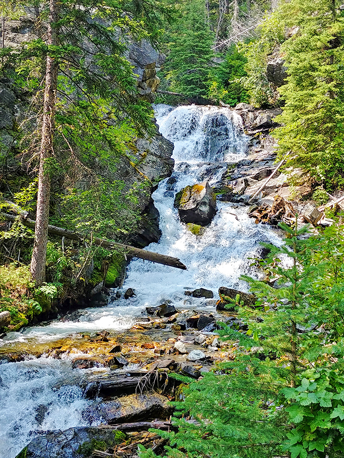 Lost Creek State Park cascades with the kind of pristine water that makes you wonder why anyone bothers with store-bought when Montana bottles it naturally.