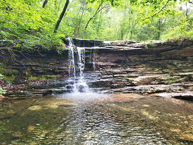 A gentle cascade tumbles over ancient rock layers, creating nature's own staircase. This hidden waterfall rewards hikers with the soothing soundtrack of wilderness at its most peaceful.
