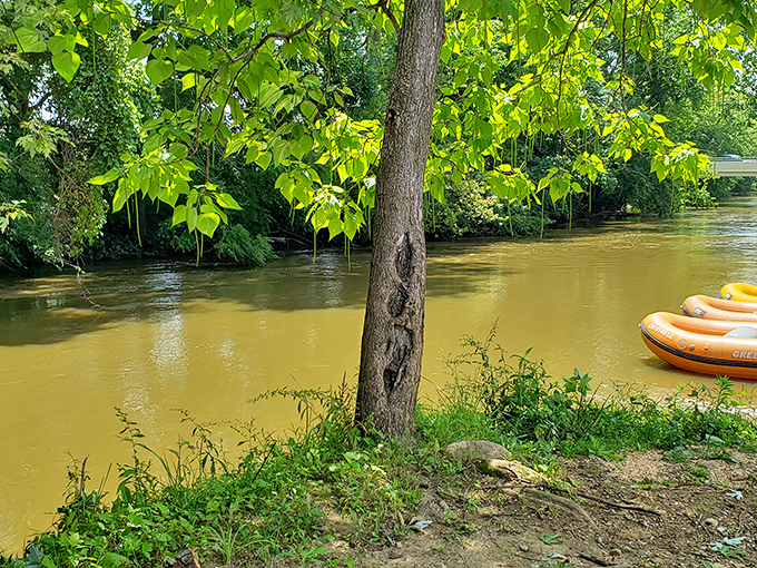 That golden water might look murky, but it's carried countless adventurers downstream toward memories they'll never forget or stop talking about.