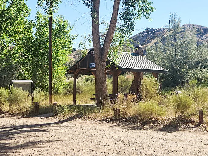 A rustic shelter standing sentinel in the wilderness&mdash;the perfect spot to contemplate life while hiding from that merciless New Mexico sun.