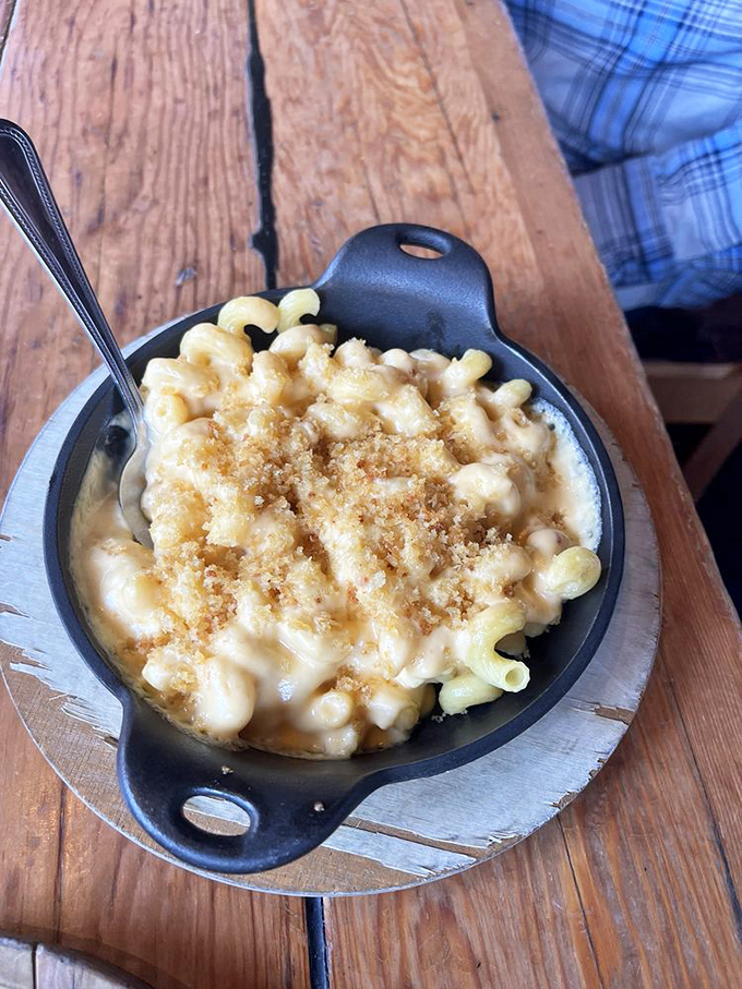 Mac and cheese that doesn't whisper comfort—it sings it from the rooftops. That breadcrumb topping deserves its own fan club.