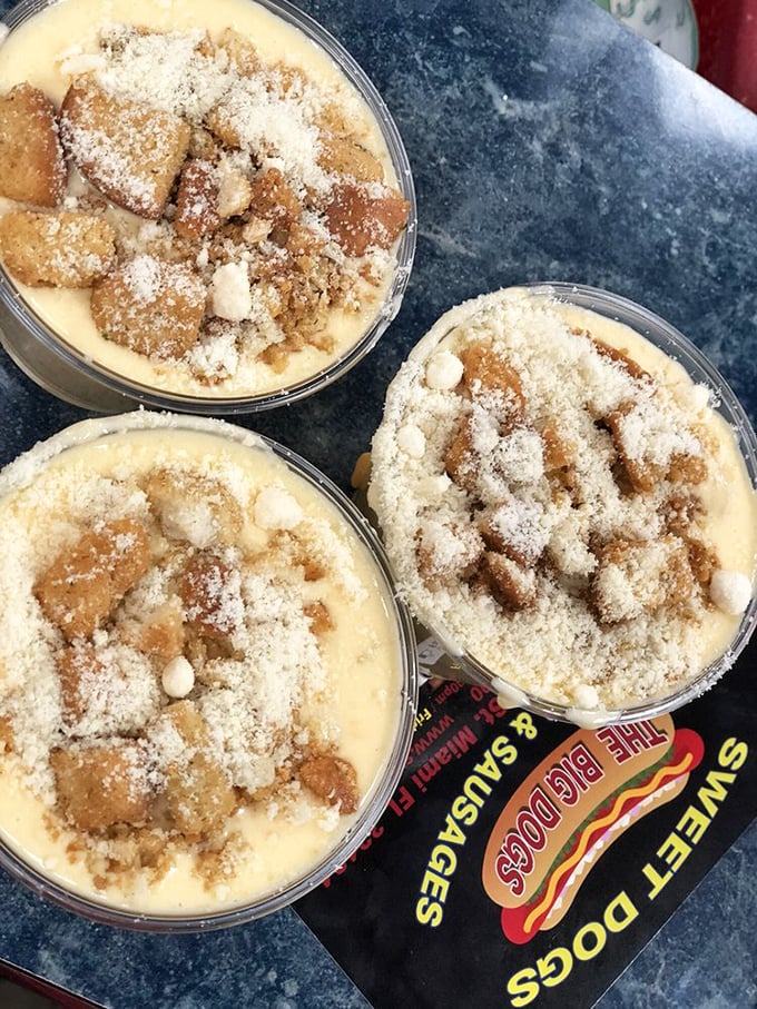 These dessert cups aren't just sweet treats; they're edible archaeology with layers of pudding and crumbled cookies waiting to be excavated by your spoon.