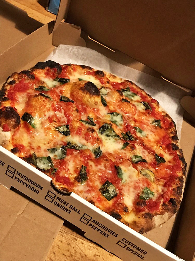 This isn't just pizza&mdash;it's a perfect circle of char-spotted crust, melty cheese, and basil that makes you question why you ever settled for delivery.