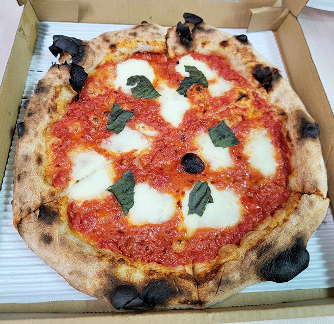The Margherita pizza—where tomato sauce, fresh mozzarella, and basil perform the culinary equivalent of an Italian opera in perfect three-part harmony.