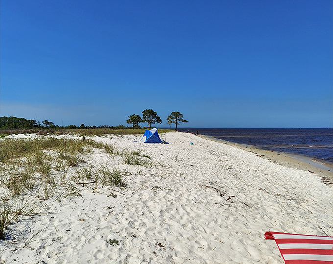 Social Security goes further when your beach doesn't charge for serenity. Mashes Sands offers million-dollar views on a fixed-income budget.