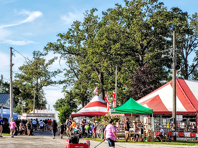 The Mercer County Fair brings the community together under colorful tents, where funnel cakes and friendly conversations are always on the menu.