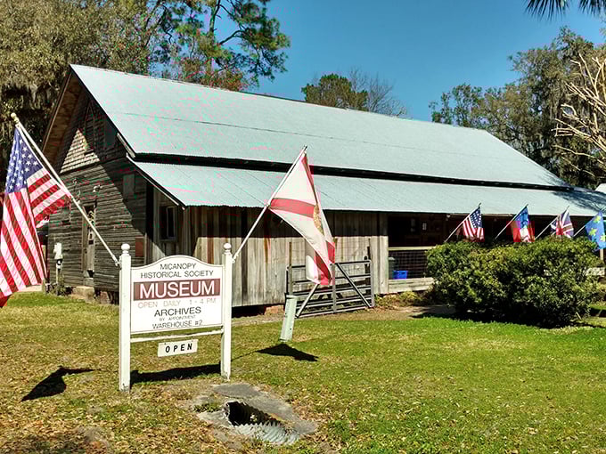 The Micanopy Historical Society Museum doesn't just preserve history&mdash;it wears it proudly, like your grandpa's favorite fishing hat.