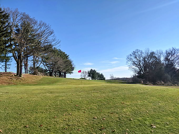 Midville Golf Club offers affordable recreation without country club pretension—just you, your clubs, and greens that don't require a second mortgage to enjoy.
