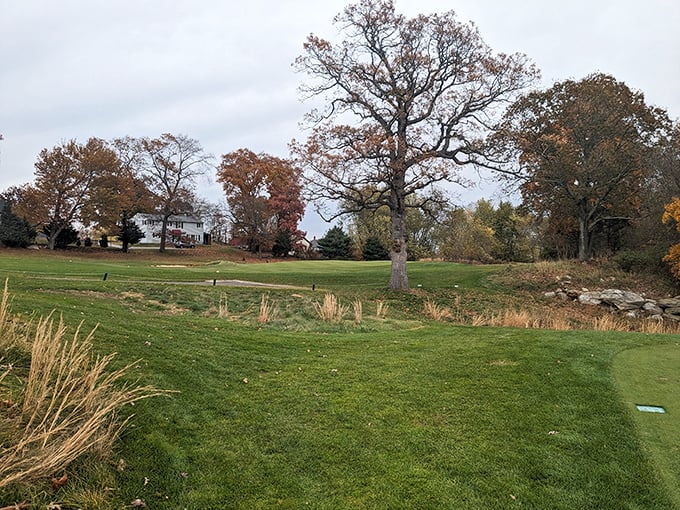 Midville Golf Club showcases Rhode Island's talent for tucking peaceful green escapes into the most unexpected corners of its communities.