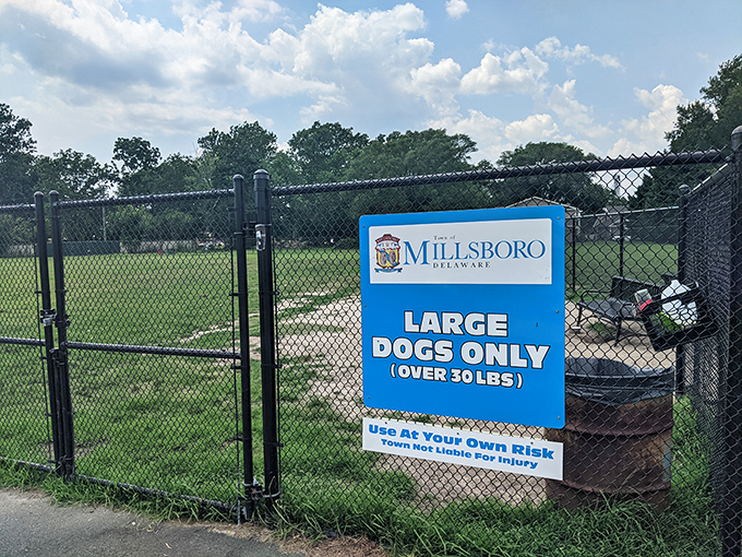 The dog park sign says "Large Dogs Only" &ndash; finally a place where Great Danes can network without intimidating the Chihuahuas.
