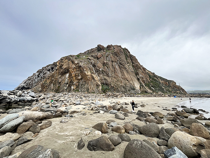 Morro Rock up close reveals its true majesty &ndash; a 576-foot volcanic monolith that's been guiding sailors and impressing visitors for centuries.